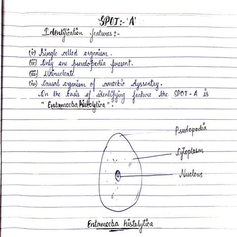 Spotting.AnswerSheet.pdf