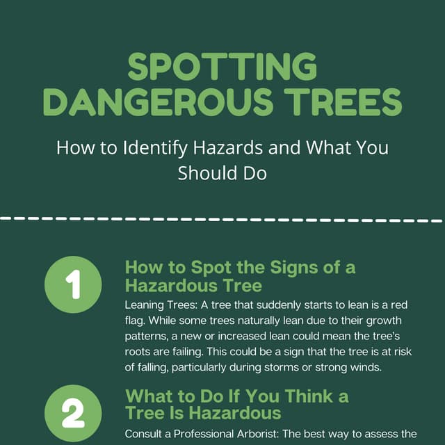Spotting Dangerous Trees How to Identify Hazards and What You Should Do.pdf
