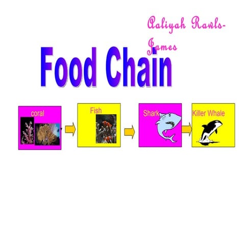 Spradley Food Chain | PPT