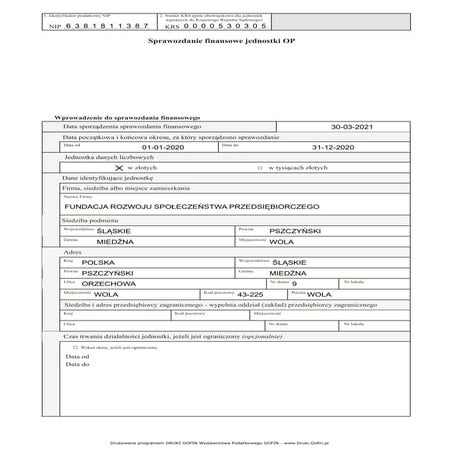 Sprawozdanie finansowe FRSP 2020 | PDF
