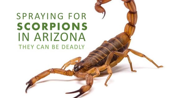 Basic safety against snake bite at work place | PPTX | First Aid | Injuries