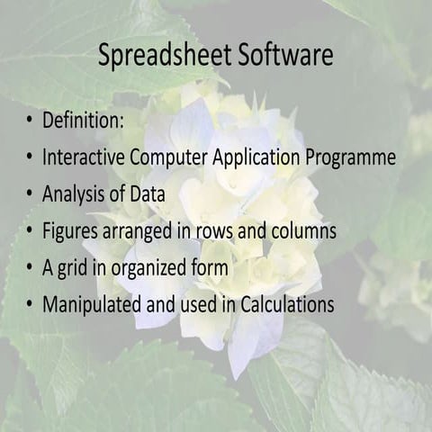 Spreadsheet software | PPTX | Computer Software and Applications | Computing
