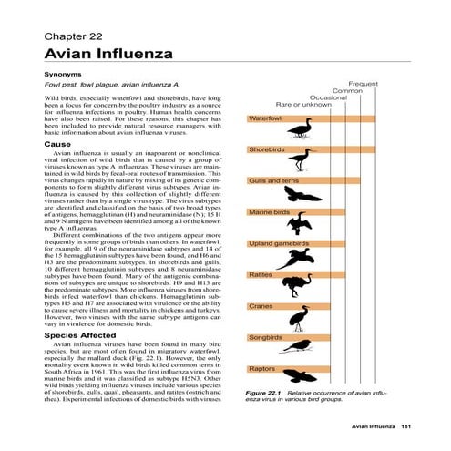 Outbreak of avian influenza A(H5N8) in Hungary | PDF