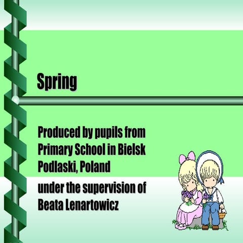 Spring | PPT