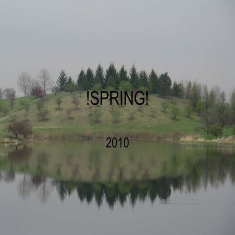 Spring! | PPT | Parks | Attractions