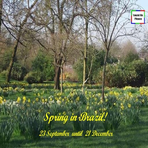 Spring In Brazil | PPS