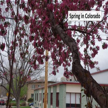 Spring in-colorado-pp-slideshow | PPT