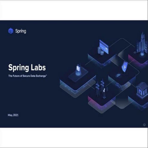 Spring Labs Pitch Deck | PPT