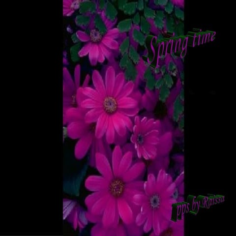 Spring Time | PPS