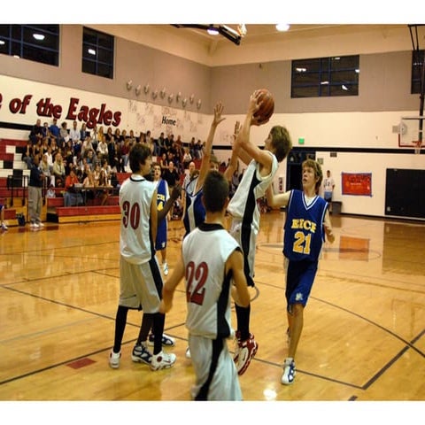 Spring View Basketball | PPT