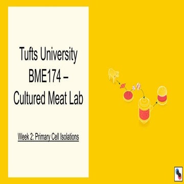 Spring 2022 BME 174 Cultured Meat Lab Week 2 Slides.pptx