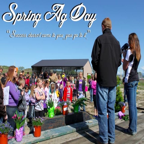 Senior Legacy Experience Project | PPT