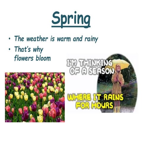 Spring | PPTX | Gardening | Home & Garden