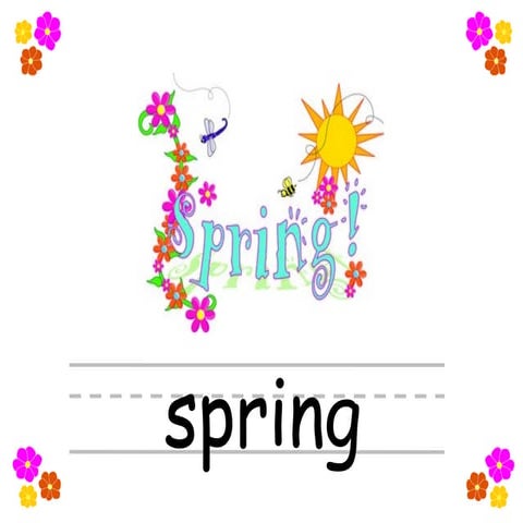 Spring Flashcards | PPT