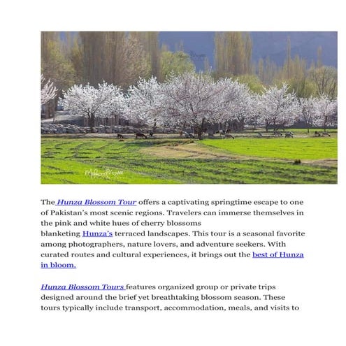 Hunza Blossom Tour. Hunza Cherry Blossom Tour | PDF