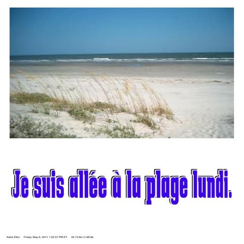 Spring break sentences | PDF