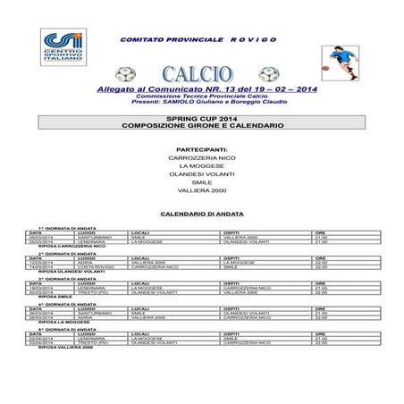 Spring cup 2014 | PDF