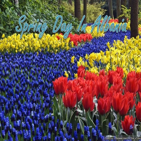 Spring day in Albania | PPTX | National & Civic Holidays | Holidays