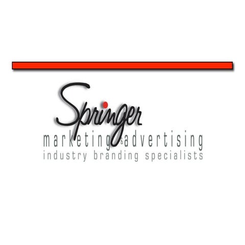 Springer Marketing&Advertising | PDF | Advertising Industry | Industries