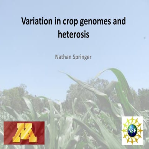 Variation in crop genomes and heterosis | PDF