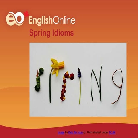 Spring idioms | PPTX