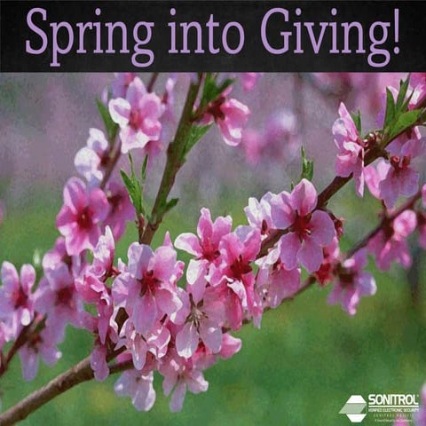 Spring into Giving | PDF | Non-Profit Organizations | Industries