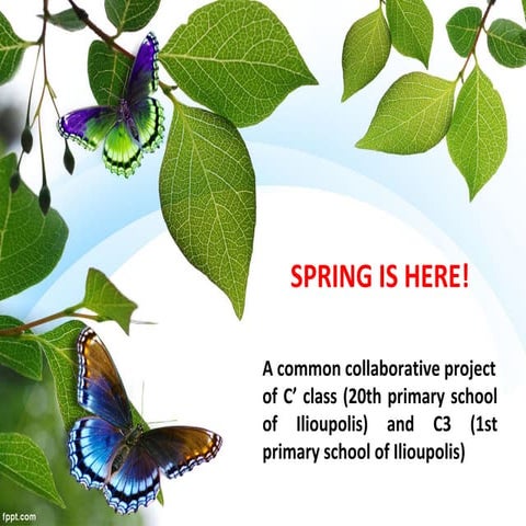 Spring is here! | PPT