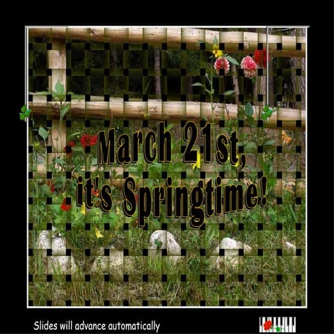 Spring Time | PPT