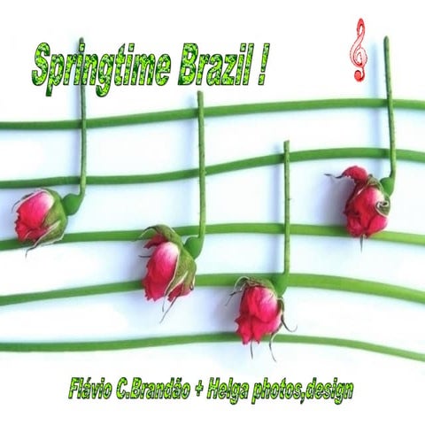Springtime Brazil | PPT