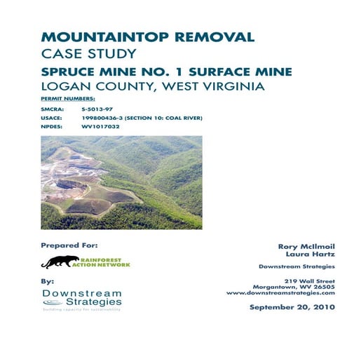 Spruce case study_vf | PDF | Landscaping | Home & Garden