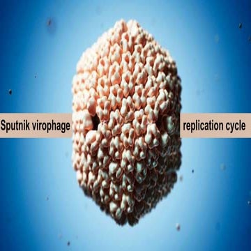 sputnik life cycle.pptx