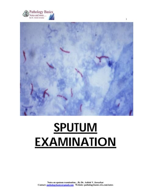 Sputum Examination and Analysis | PPT