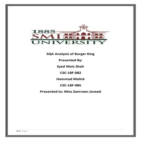 SQA Project Report.docx