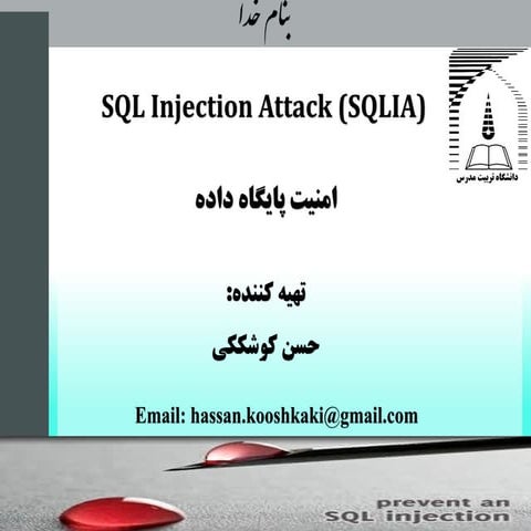 Data Base Security (SQL Injection Attacks) | PDF