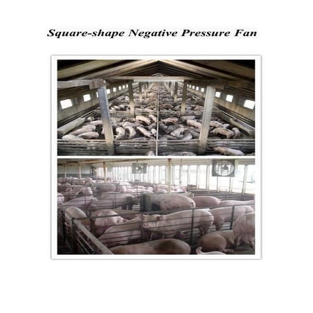 Negative Pressure Fan for Piggery Cooling-Efficient Pig House Cooling ...