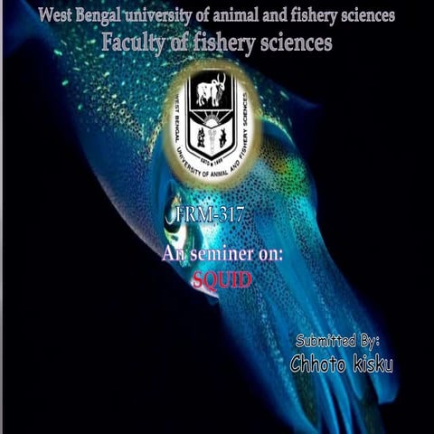 Life cycle of squid | PPTX