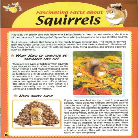 Fascinating Facts About Squirrels | PDF