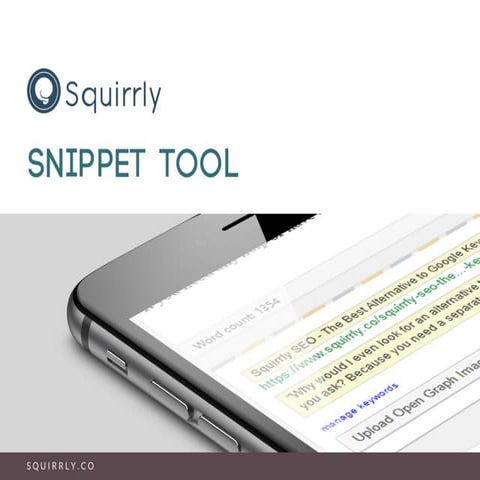 Get to Know the Squirrly Snippet Tool | PPT