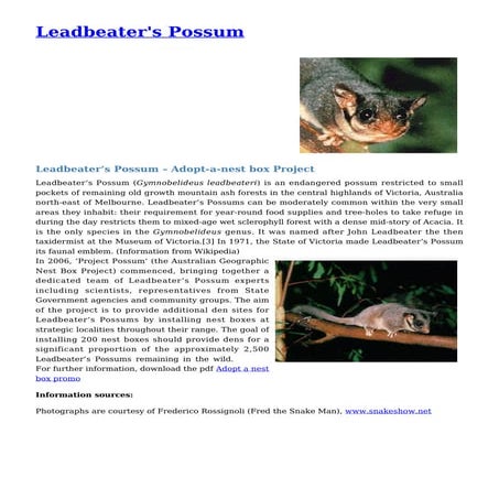 Leadbeater’s Possum | PDF
