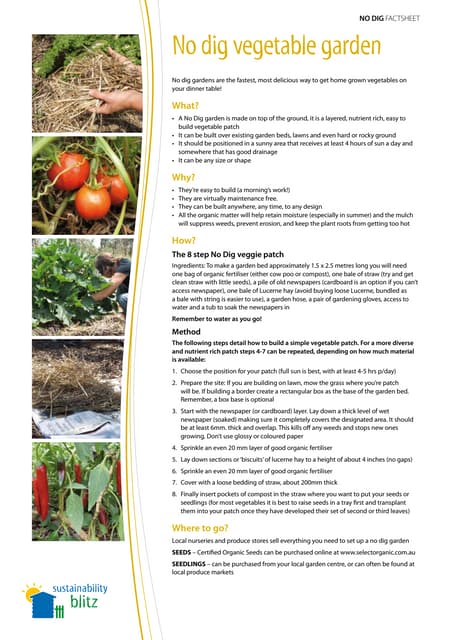 Steps to an awesome garden | DOCX