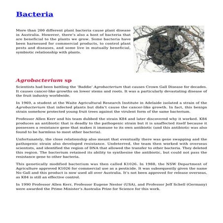 Bacteria, Animal and Plant Cells | PPTX