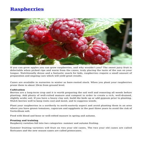 Raspberries Gardening | PDF