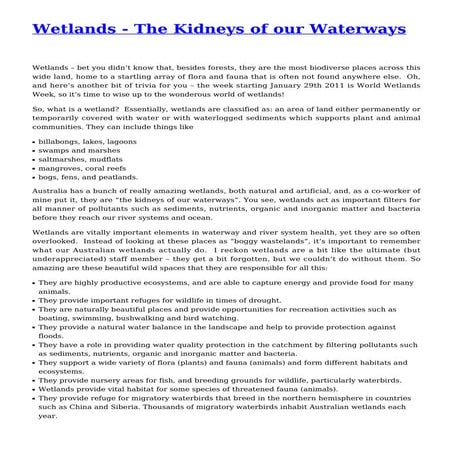 Wetlands: The Kidneys of our Waterways | PDF | Gardening | Home & Garden