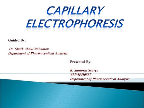 In vivo and in vitro studies | PPT