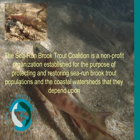 SRBTC Presentation to GBTU, Boston MA, Jan 2015 | PPT