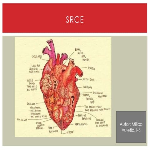 Srce (cor) | PPT