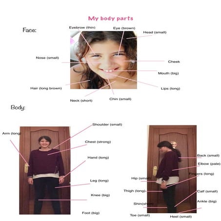 My body parts +adjectives | PDF