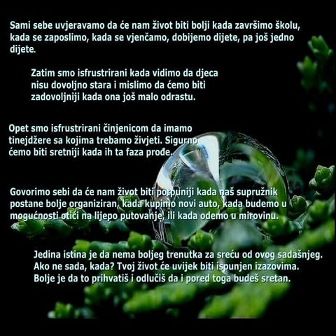 Prezentacija udruge Životna škola | PPTX