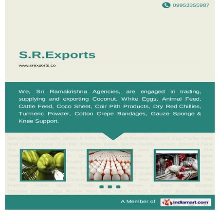 S.R.Exports, Madurai, Indian Chili Powder | PDF | Agriculture | Industries