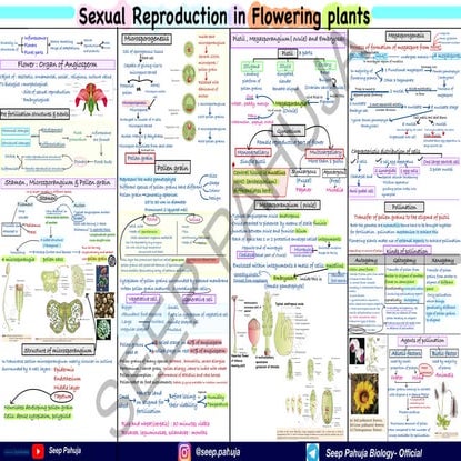 Sexual Reproduction In Flowering Plants | PPTX